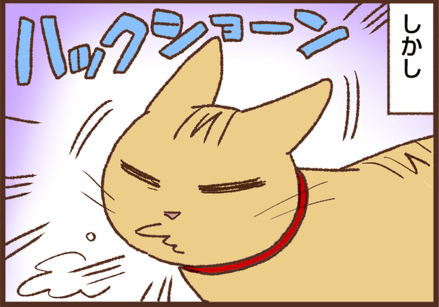 【吉川さん家の猫事情】#102話 我が家の熱中症対策（写真 6/8） - マンガ連載：吉川さん家の猫事情 - mimot.(ミモット)