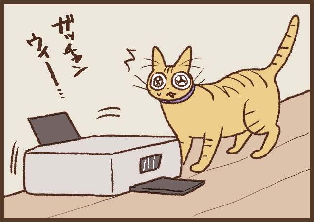 【吉川さん家の猫事情】#26話 “戦う猫”ハルちゃん（写真 2/9） - マンガ連載：吉川さん家の猫事情 - mimot.(ミモット)