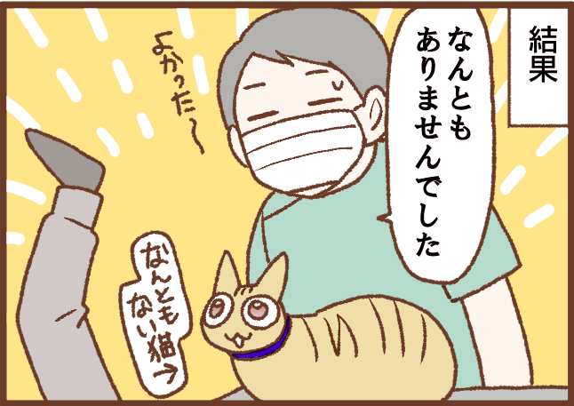 【吉川さん家の猫事情】#86話 シニア猫はいろいろありすぎる！（写真 4/8） - マンガ連載：吉川さん家の猫事情 - mimot.(ミモット)