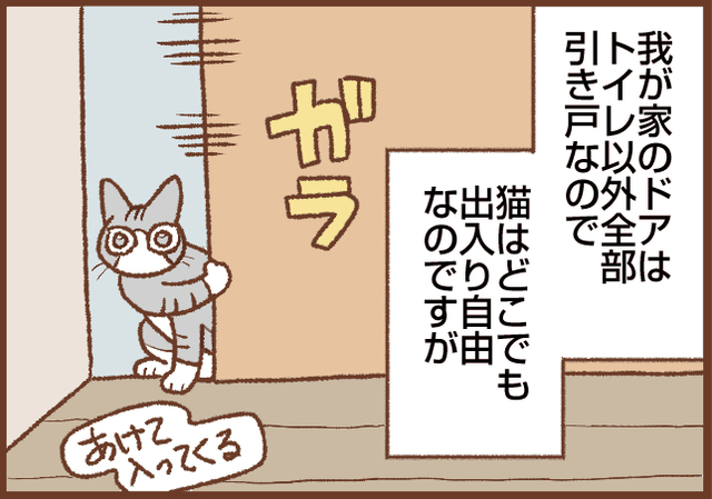 【吉川さん家の猫事情】#116話 出入り自由！（1/2） - マンガ連載：吉川さん家の猫事情 - mimot.(ミモット)