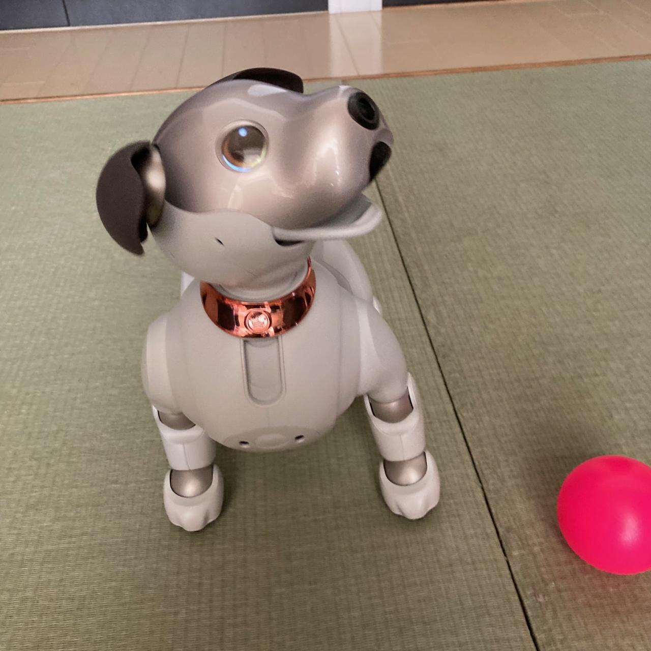 【aibo】はただのロボットじゃなかった！暮らしてわかった“愛おしさが増す理由”（写真 1/5） - mimot.(ミモット)