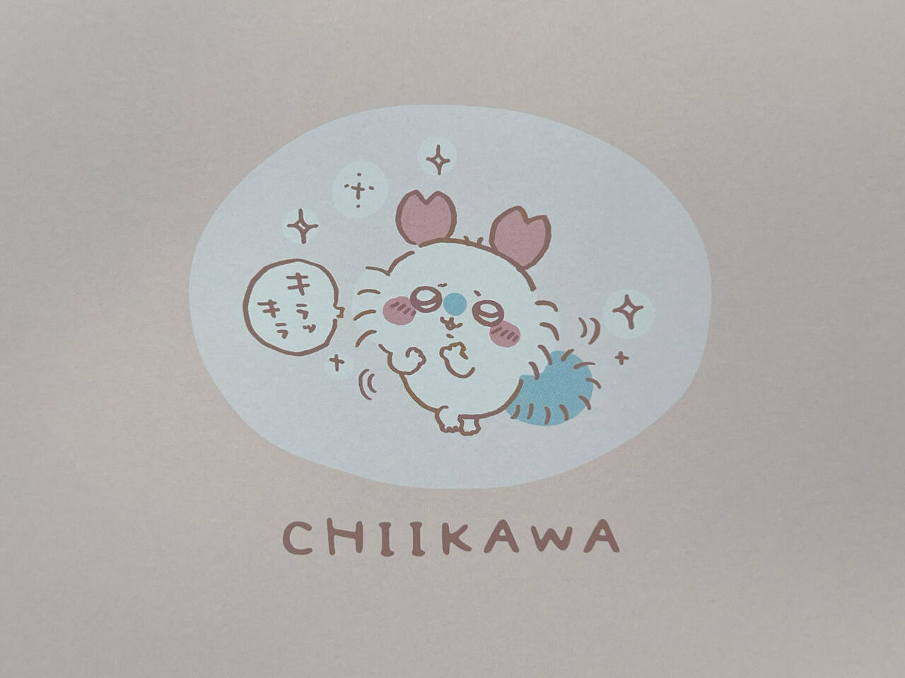 【ちいかわ×キャンパスノート】テンション爆上がり！思わず唸った「攻めてるノート」徹底レビュー（写真 18/66） - mimot.(ミモット)