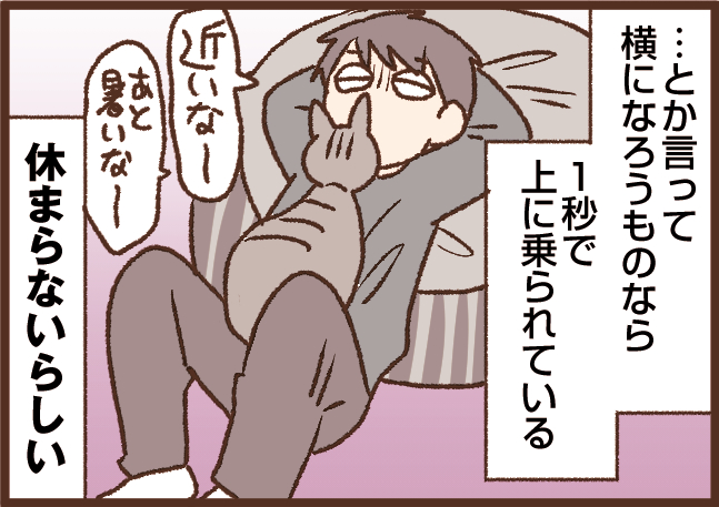 【吉川さん家の猫事情】#35話 猫に翻弄される夫（写真 8/9） - マンガ連載：吉川さん家の猫事情 - mimot.(ミモット)