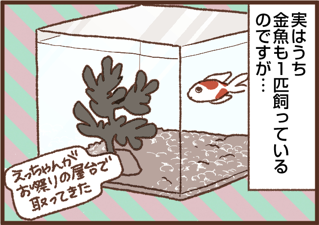 【吉川さん家の猫事情】#49話 “4年目”に気づいたネコ（写真 2/9） - マンガ連載：吉川さん家の猫事情 - mimot.(ミモット)