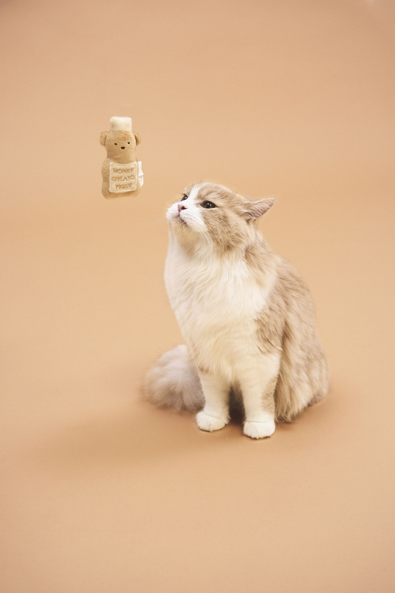 【ジェラピケ×犬猫ライン】冬の新作アイテムが登場！お揃いコーデもできちゃうよ♪（写真 8/14） - mimot.(ミモット)