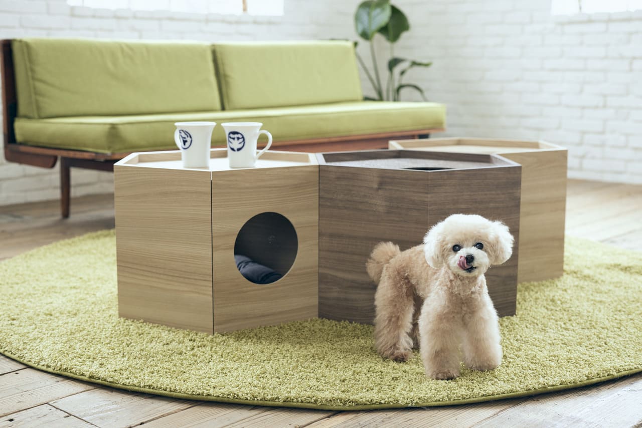 うちの子、かわいすぎる…！「フランスペット」のペット用家具がおしゃれで実用的（写真 13/81） - mimot.(ミモット)