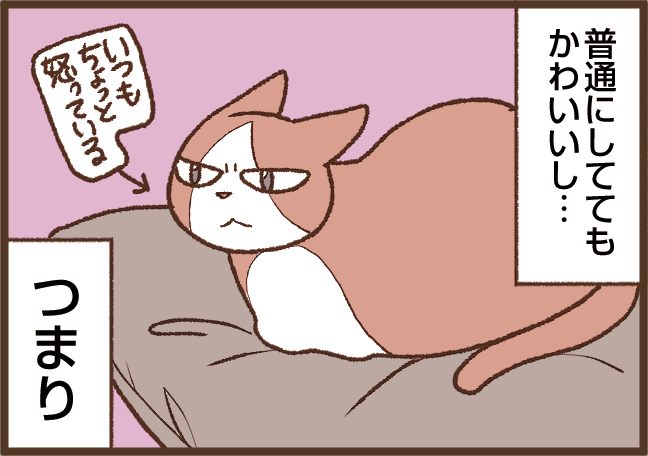 【吉川さん家の猫事情】#45話 ニナちゃんの出番が少ないワケ（写真 8/9） - マンガ連載：吉川さん家の猫事情 - mimot.(ミモット)