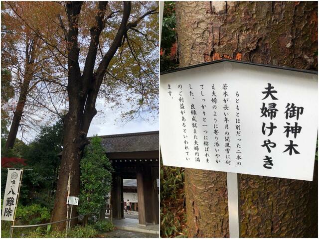 【阿佐ヶ谷神明宮】特別な御朱印が素敵♪ 話題の「神むすび」もかわいい！（1/4） - mimot.(ミモット)