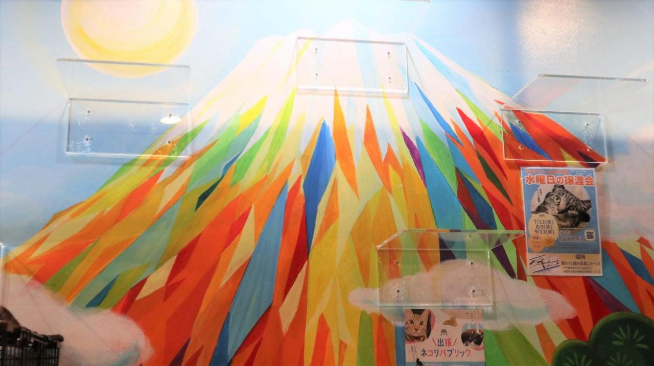 【ねこ浴】もふもふ風呂にどっぷり浸かれる！保護猫カフェに行ってみた（写真 3/31） - mimot.(ミモット)