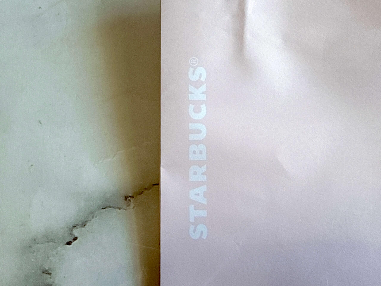 スタバの新作グッズおすすめ2選♪ 便利で可愛くてギフトにも自分用にもぴったり！（写真 25/27） - mimot.(ミモット)