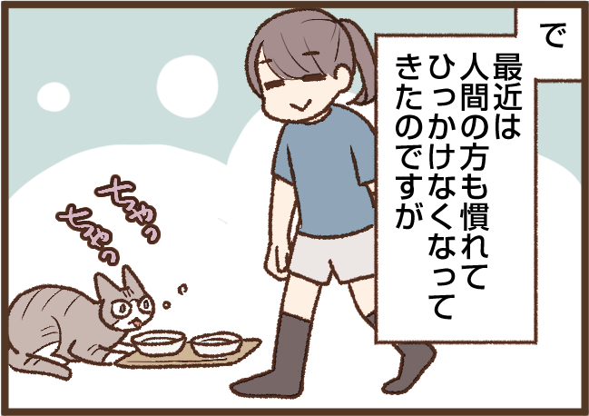 【吉川さん家の猫事情】#61話 キッチンの横に“増設”したら…（写真 5/8） - マンガ連載：吉川さん家の猫事情 - mimot.(ミモット)