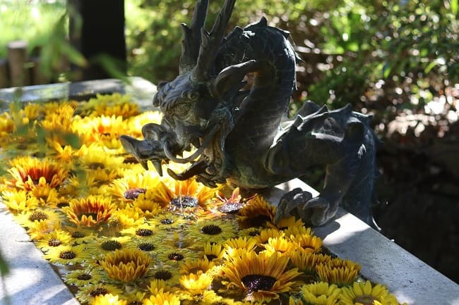 【よみうりランド】究極の癒しスポット誕生！都心を一望できる「絶景露天風呂」も（写真 4/33） - mimot.(ミモット)