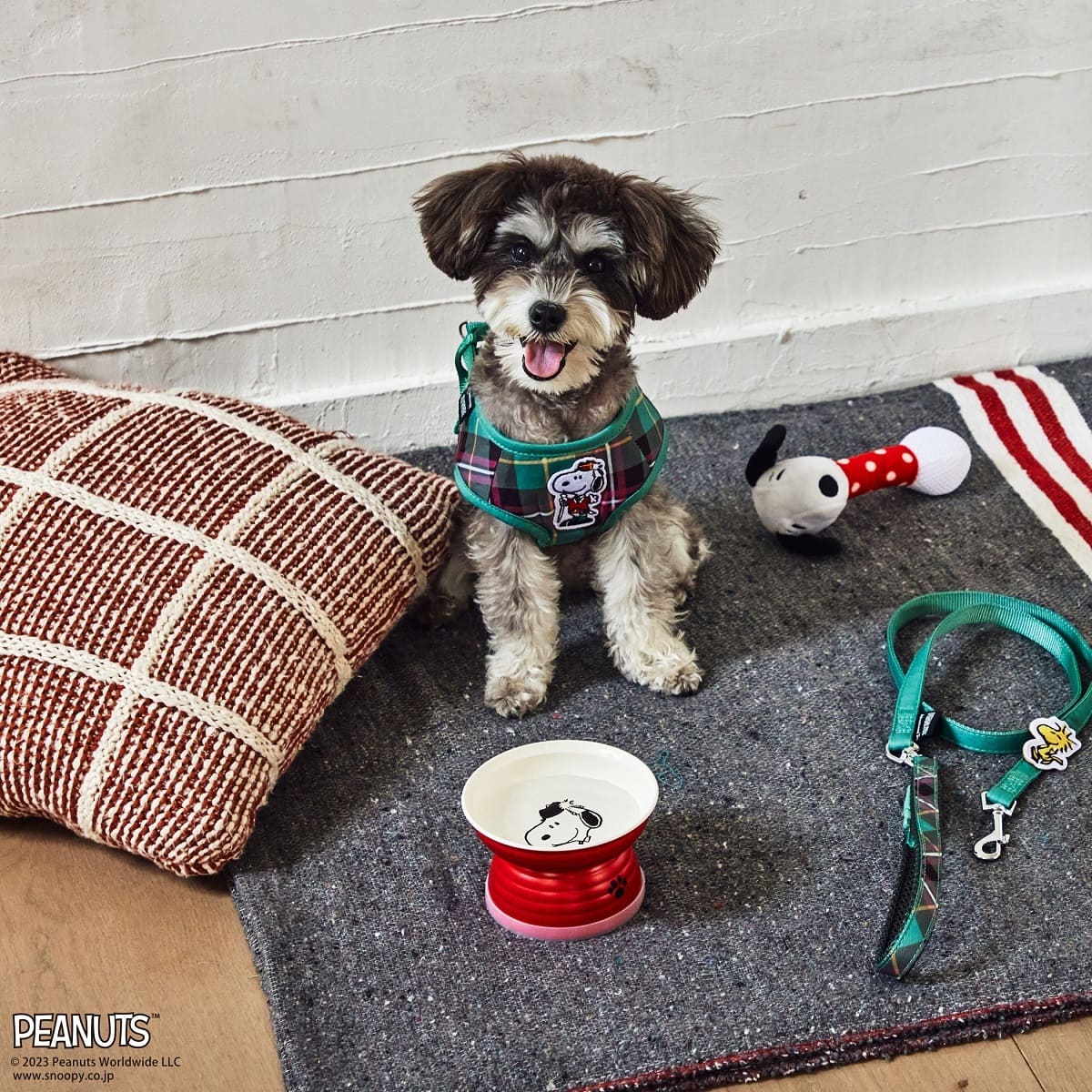 【アフタヌーンティー×PEANUTS】スヌーピー新作アイテムがタータンチェックで登場！ワンちゃん向けグッズも（写真 12/20） - mimot.(ミモット)
