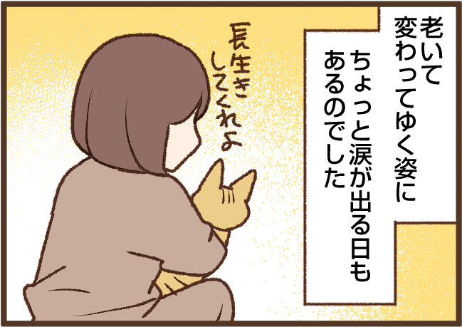 【吉川さん家の猫事情】#80話 ネコも18才になると…（写真 8/8） - マンガ連載：吉川さん家の猫事情 - mimot.(ミモット)