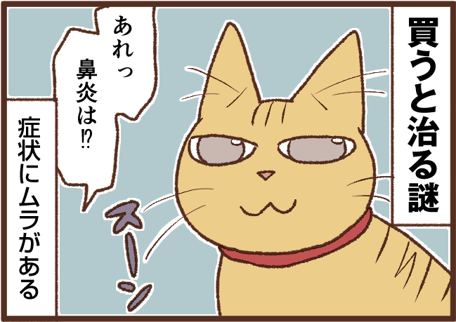 【吉川さん家の猫事情】#71話 ネコの鼻炎対策は大変！（写真 4/8） - マンガ連載：吉川さん家の猫事情 - mimot.(ミモット)
