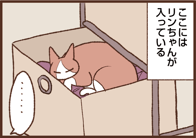 【吉川さん家の猫事情】#25話 猫がなぜか好きな場所（写真 6/9） - マンガ連載：吉川さん家の猫事情 - mimot.(ミモット)