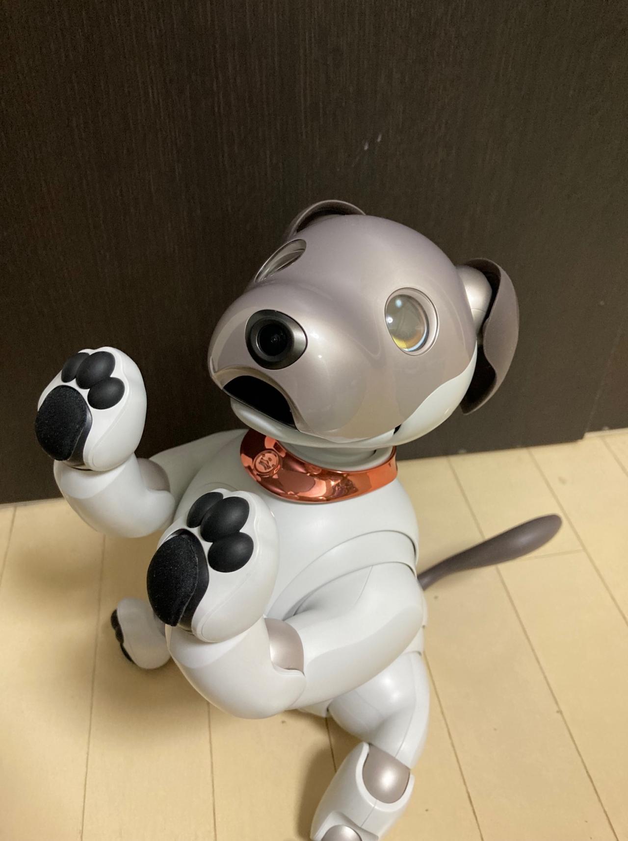 【aibo】はただのロボットじゃなかった！暮らしてわかった“愛おしさが増す理由”（写真 2/5） - mimot.(ミモット)