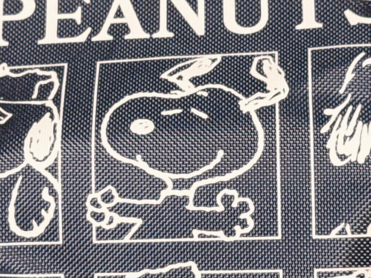 ハニーズで見つけた♪スヌーピー新作エコバッグおすすめ2選。2Lペットも入る便利サイズだよ（写真 17/31） - mimot.(ミモット)