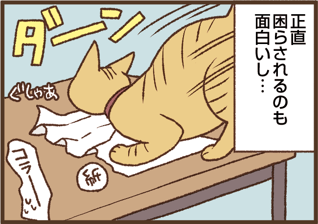 【吉川さん家の猫事情】#45話 ニナちゃんの出番が少ないワケ（写真 7/9） - マンガ連載：吉川さん家の猫事情 - mimot.(ミモット)