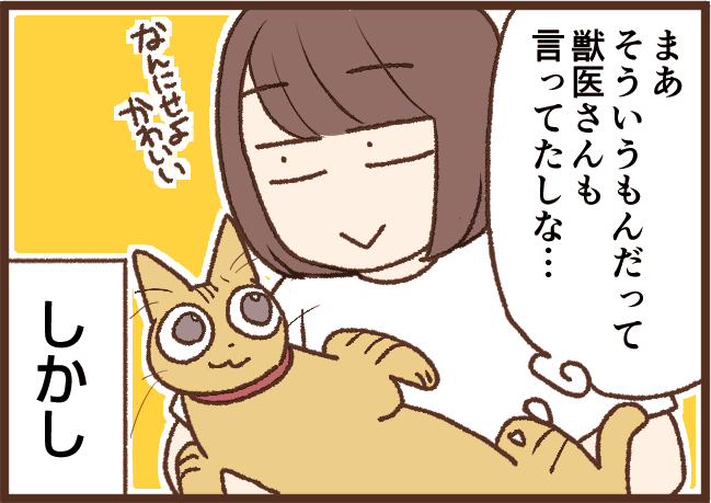 【吉川さん家の猫事情】#57話 ネコは年を取ると変わる？変わらない？（写真 4/9） - マンガ連載：吉川さん家の猫事情 - mimot.(ミモット)