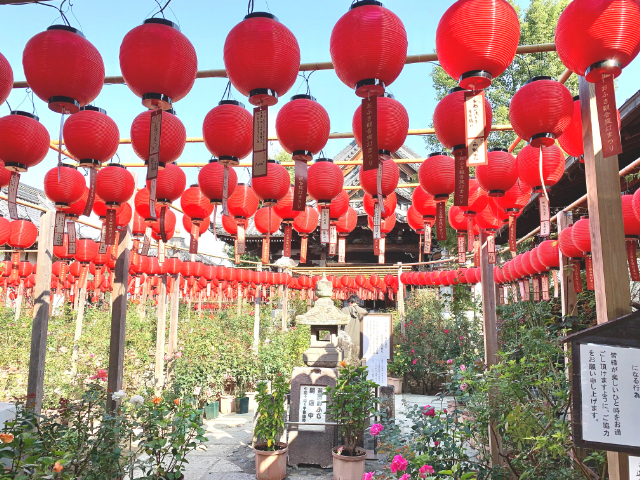 【奈良県】“日本の始まり”といわれる地「橿原市」癒し＆パワースポットを巡る旅（写真 45/72） - mimot.(ミモット)