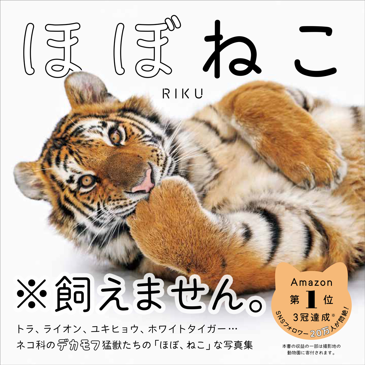 ねこは出てこないのにバカ売れ！写真集『ほぼねこ』がかわいすぎる♪（画像あり） - mimot.(ミモット)