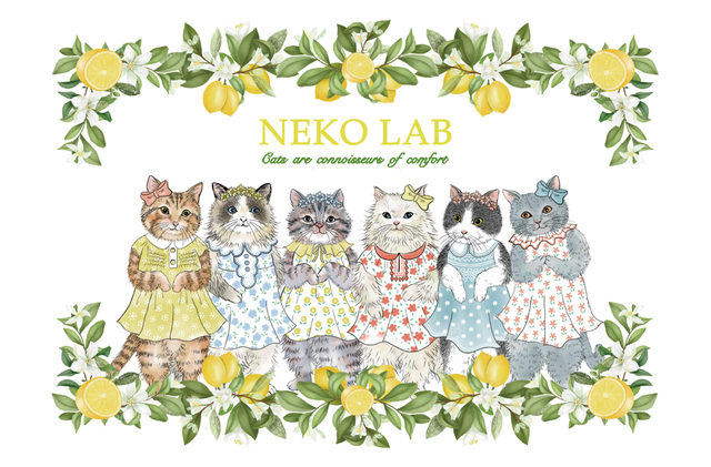 【猫好きさんへ】夏限定のネコ×レモンのクッキー缶が出るよ！ふたを開けると愛らしいねこさんが♪ - mimot.(ミモット)