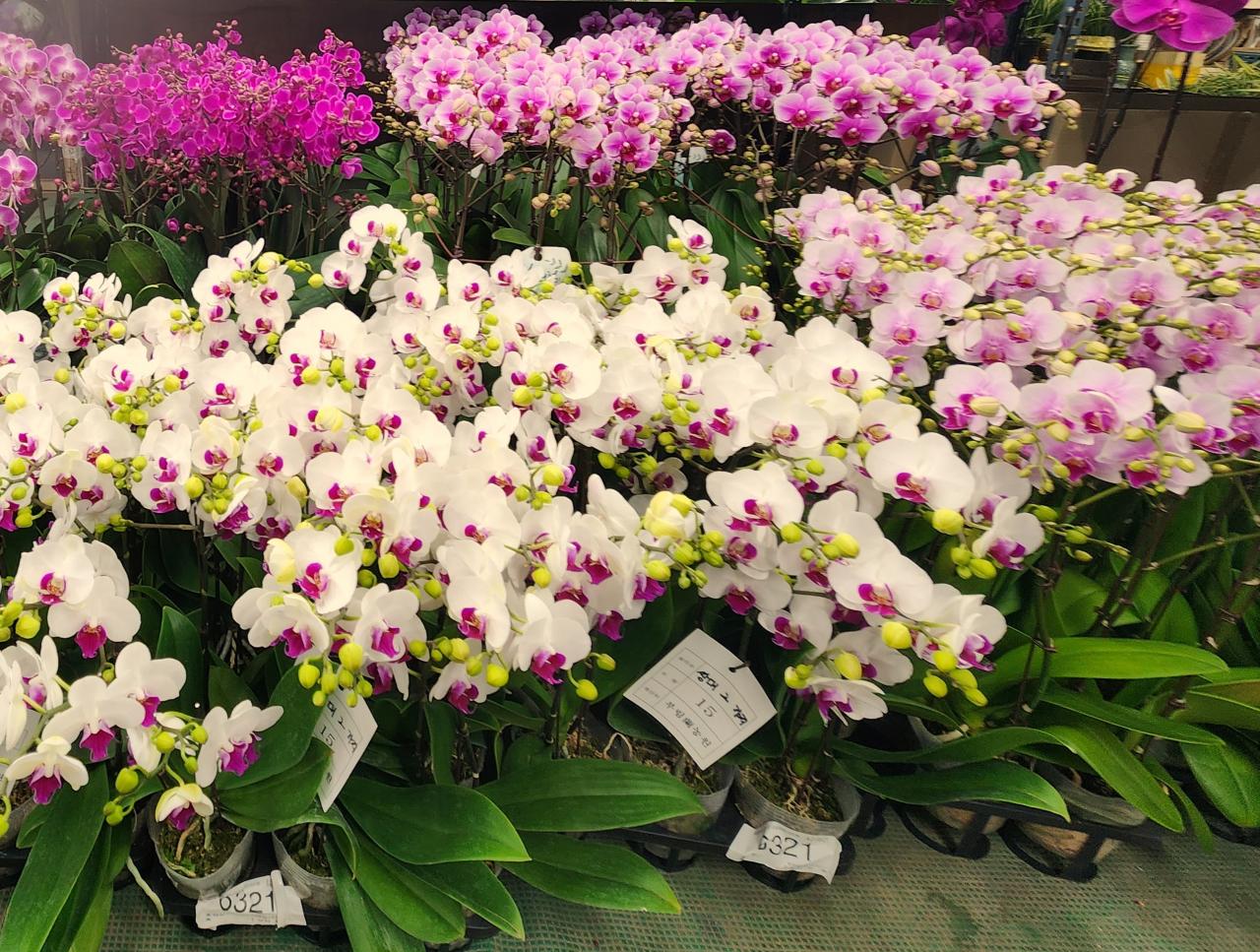 【気になる韓国、ソウルの今 vol.18】おしゃれな店が集まる「ソウルの新名所」世運商街を空中散歩してみた（後編）（写真 6/9） - mimot.(ミモット)