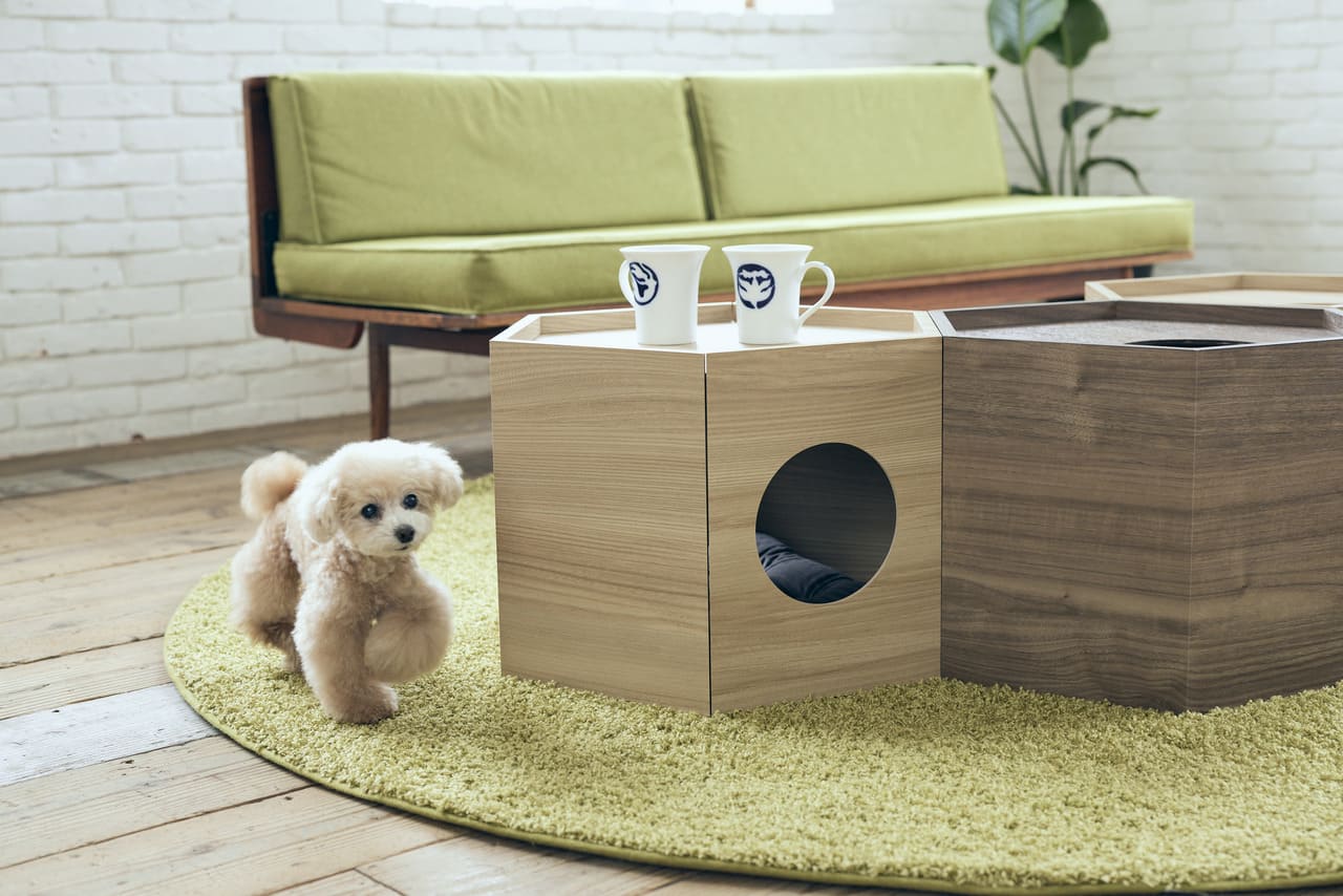 うちの子、かわいすぎる…！「フランスペット」のペット用家具がおしゃれで実用的（写真 12/81） - mimot.(ミモット)