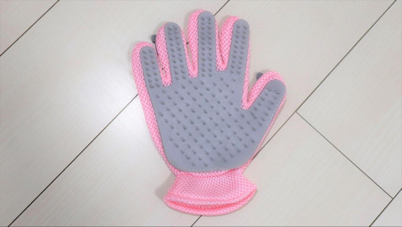 【猫のブラッシング】グローブ型とキューブ型を徹底比較！ネコがうっとりするのはどっち？（1/5） - mimot.(ミモット)