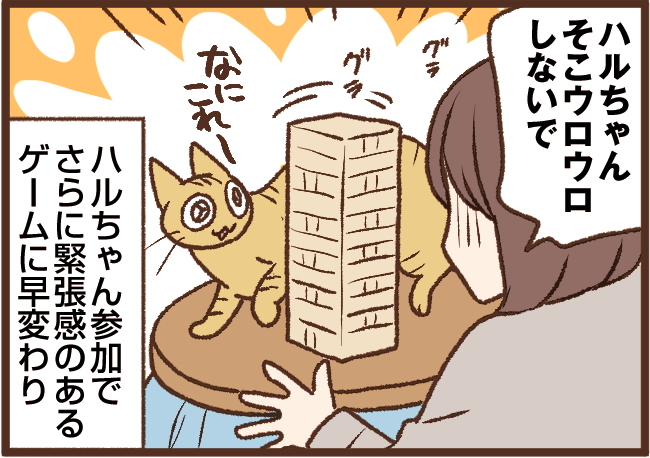 【吉川さん家の猫事情】#75話 お正月といえば…（写真 4/8） - マンガ連載：吉川さん家の猫事情 - mimot.(ミモット)