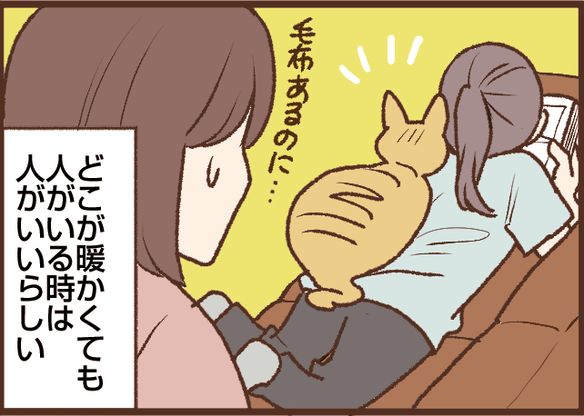 【吉川さん家の猫事情】#108話 狙われてる…！？（写真 8/8） - mimot.(ミモット)