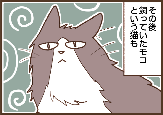 【吉川さん家の猫事情】#59話 謎、深まる…（写真 4/9） - マンガ連載：吉川さん家の猫事情 - mimot.(ミモット)