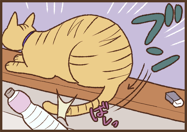 【吉川さん家の猫事情】#46話 ハルちゃんの“しっぽ”は特別！（写真 4/9） - マンガ連載：吉川さん家の猫事情 - mimot.(ミモット)