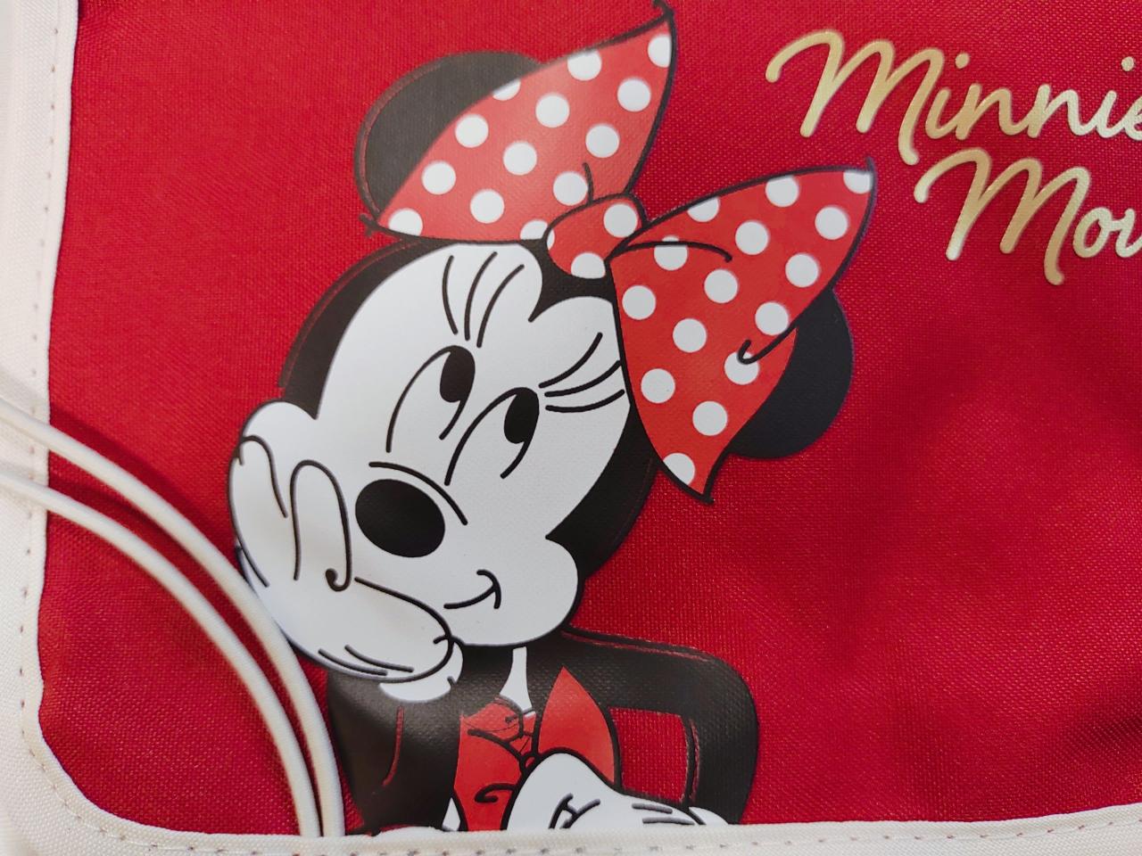 ゼクシィ最新付録がまたまた高クオリティ！ミニーの激かわトラベルポーチだよ♪（写真 12/40） - mimot.(ミモット)