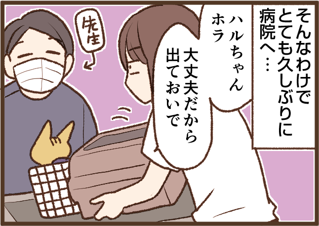 【吉川さん家の猫事情】#65話 久しぶりにある場所へ…（写真 2/8） - マンガ連載：吉川さん家の猫事情 - mimot.(ミモット)