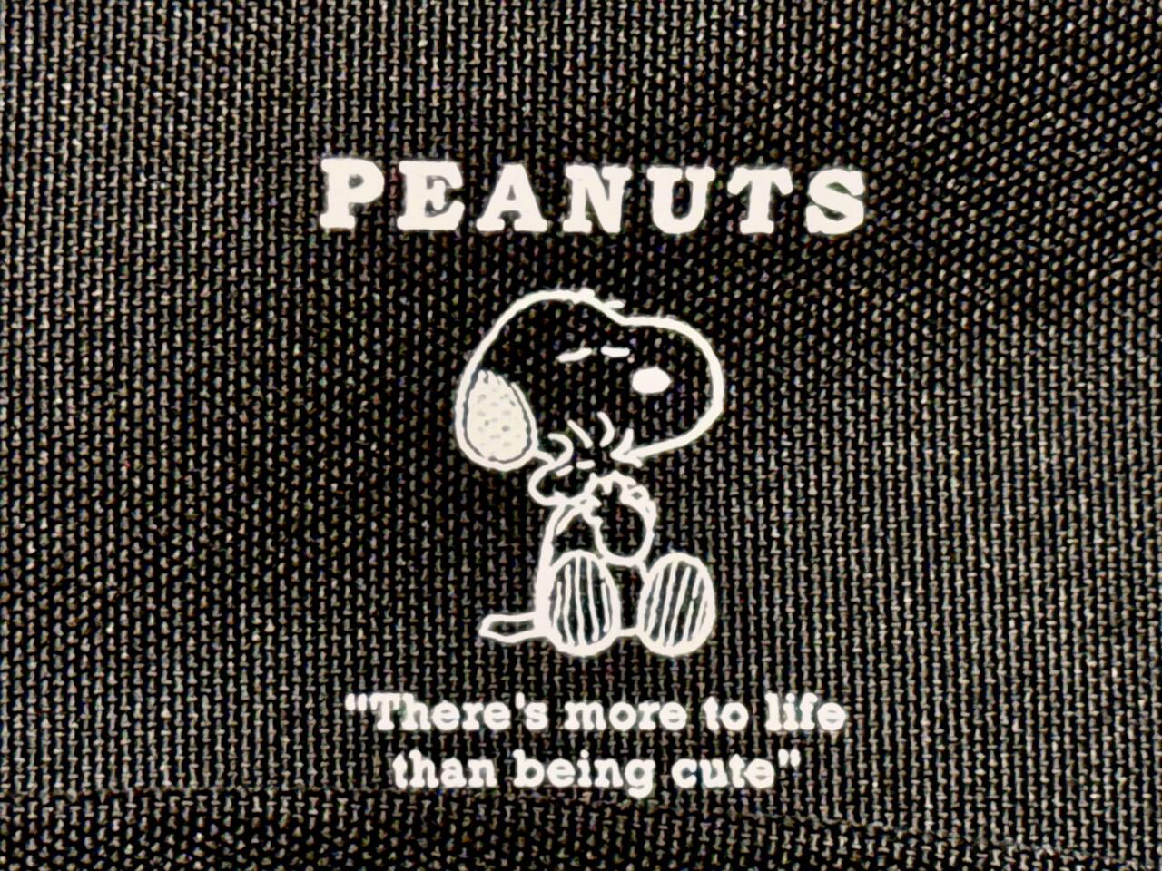 【PEANUTS×しまむら新作】スヌーピーの大人かわいいリュックが出たよ！便利でチャームもキュート♪（写真 6/40） - mimot.(ミモット)