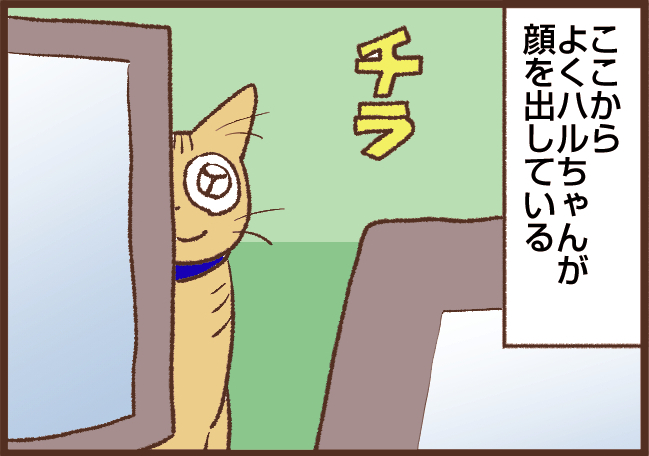 【吉川さん家の猫事情】#90話 仕事中もいろいろあります♪（写真 6/8） - マンガ連載：吉川さん家の猫事情 - mimot.(ミモット)