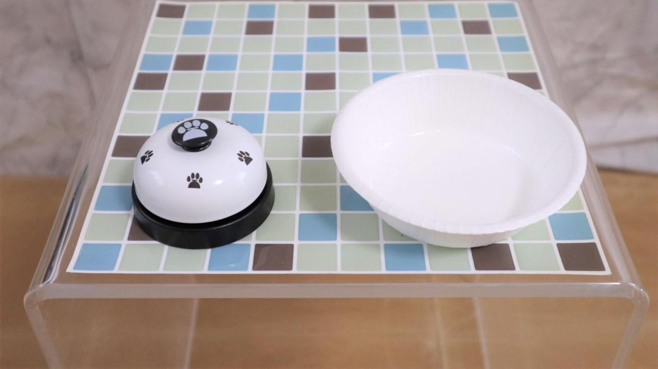 【可愛さ爆発】ネコ専用ベルを置いたら…反応がヤバすぎて笑顔が止まらない！（写真 6/23） - mimot.(ミモット)