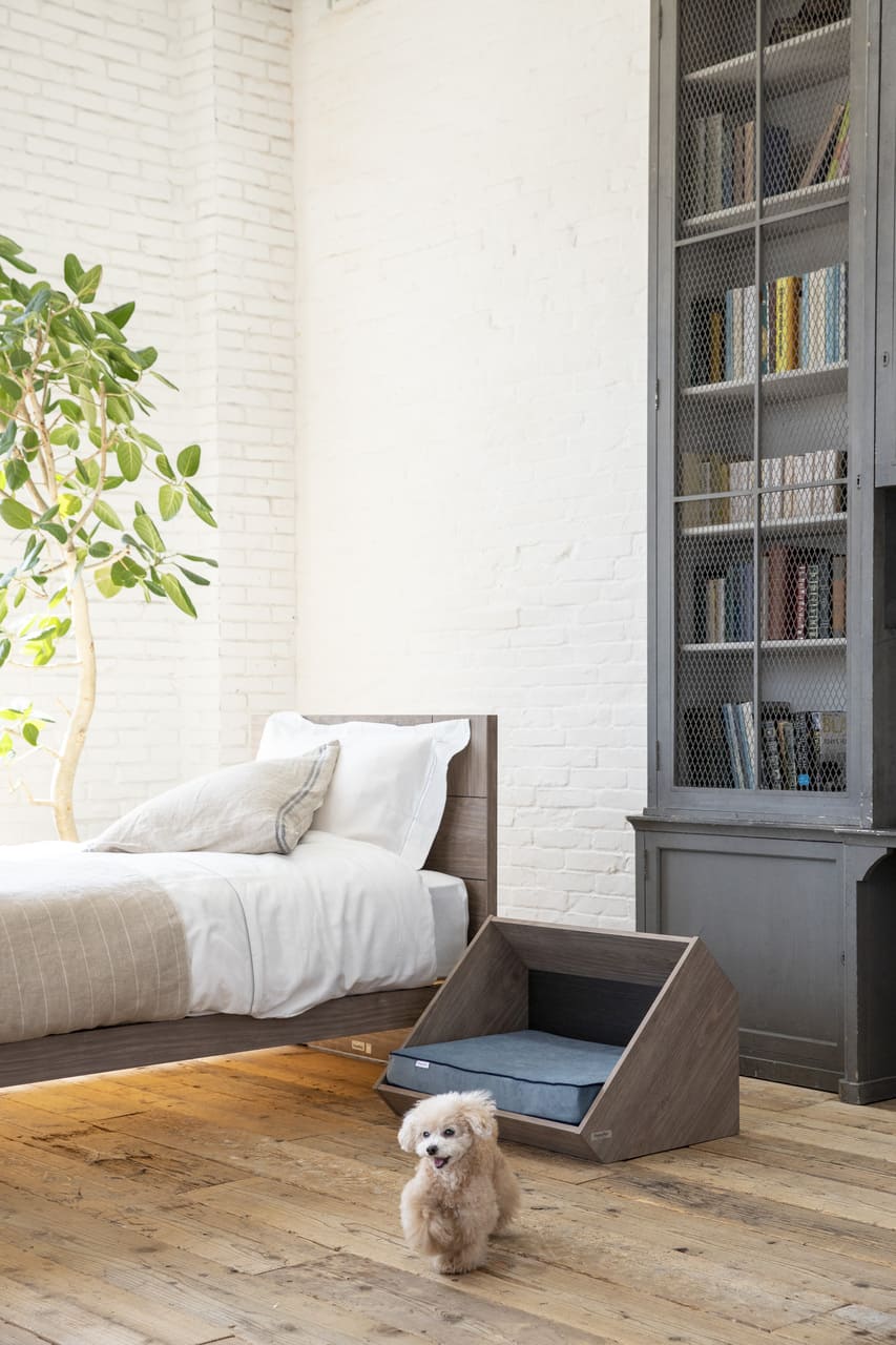 うちの子、かわいすぎる…！「フランスペット」のペット用家具がおしゃれで実用的（写真 28/81） - mimot.(ミモット)