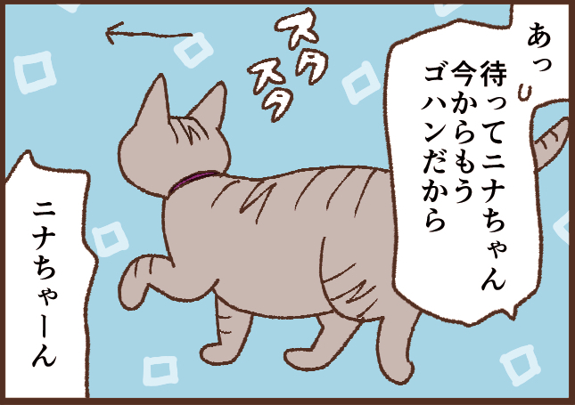 【吉川さん家の猫事情】#107話 おっとりおばあちゃん（写真 3/8） - mimot.(ミモット)