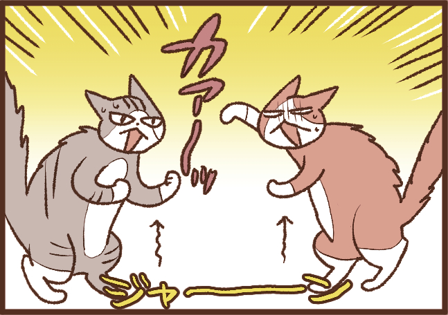 【吉川さん家の猫事情】#17話 ツンツン猫がいると大変！（写真 7/9） - マンガ連載：吉川さん家の猫事情 - mimot.(ミモット)