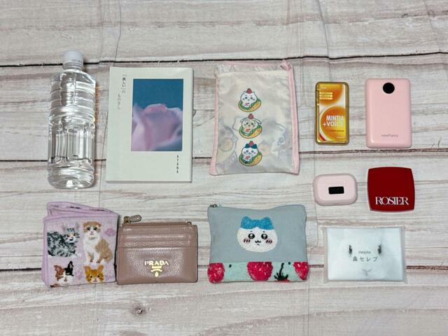 【ディズニー最新付録】ミッキー×シンゾーンの“大人が持てる”便利サイズのキャラトートが出たよ！（写真 20/23） - mimot.(ミモット)