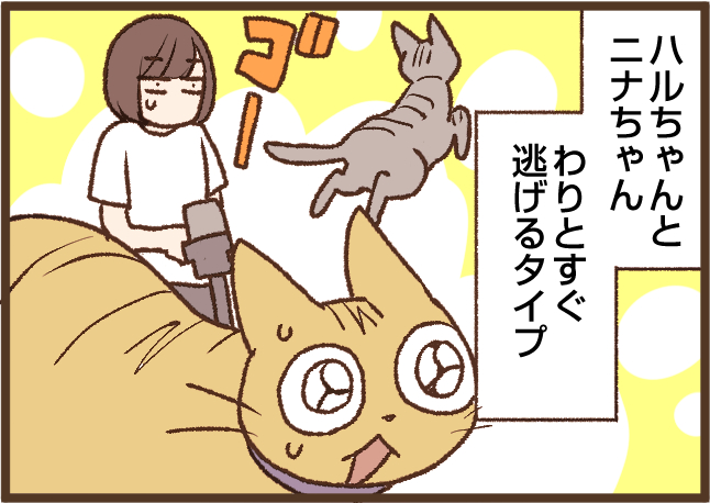 【吉川さん家の猫事情】#63話 掃除機あるある？（写真 2/8） - マンガ連載：吉川さん家の猫事情 - mimot.(ミモット)