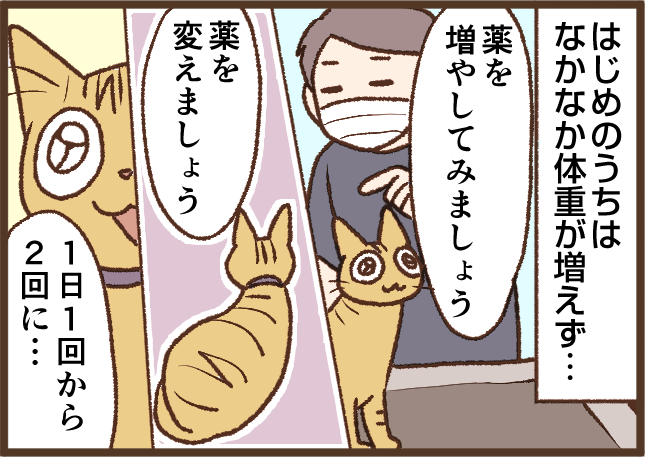 【吉川さん家の猫事情】#82話 先生もびっくり！？（写真 2/8） - マンガ連載：吉川さん家の猫事情 - mimot.(ミモット)