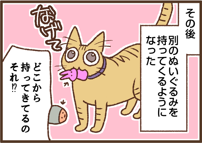 【吉川さん家の猫事情】#81話 ぬいぐるみブーム再び？（写真 4/8） - マンガ連載：吉川さん家の猫事情 - mimot.(ミモット)