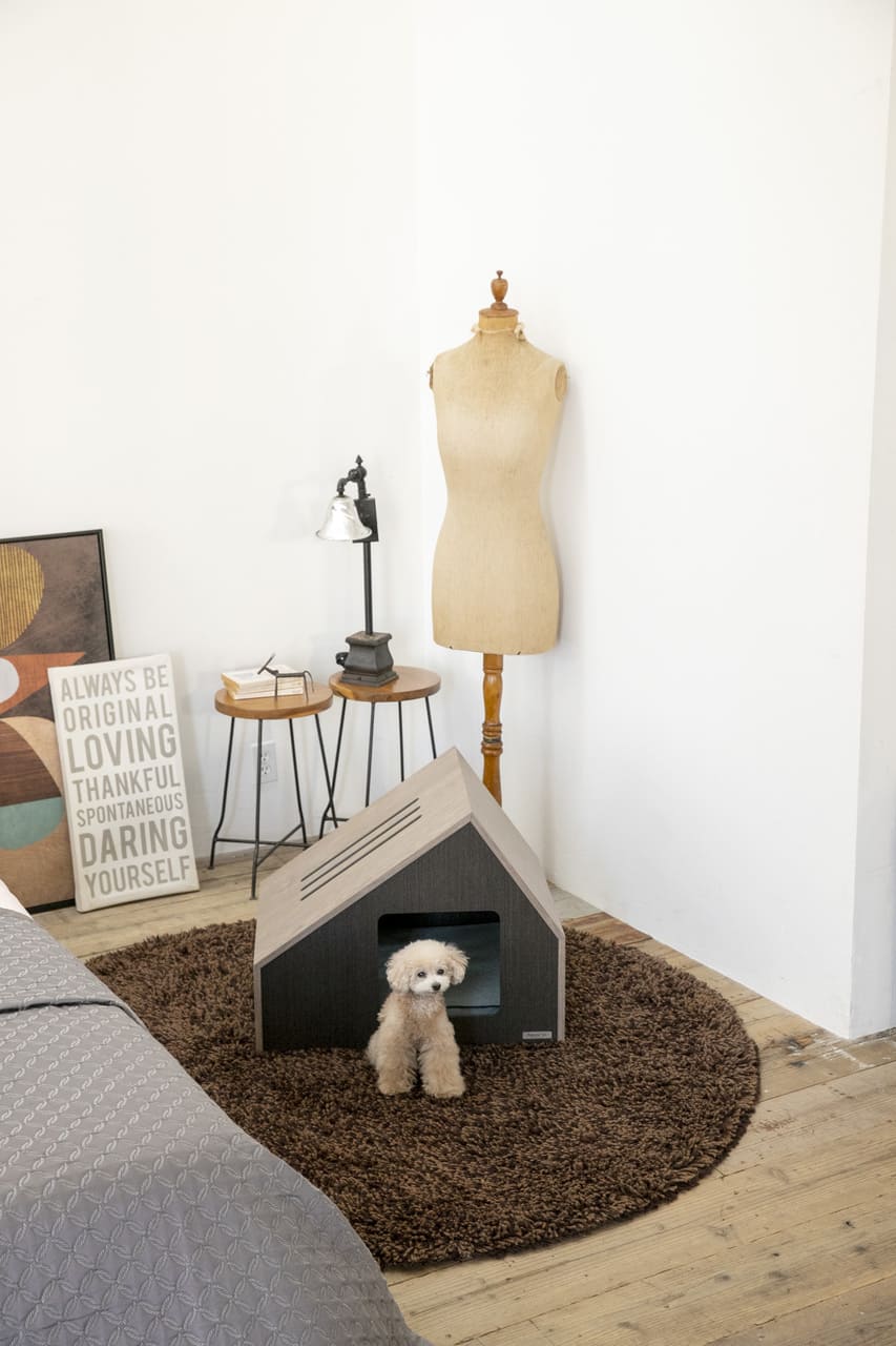 うちの子、かわいすぎる…！「フランスペット」のペット用家具がおしゃれで実用的（写真 23/81） - mimot.(ミモット)
