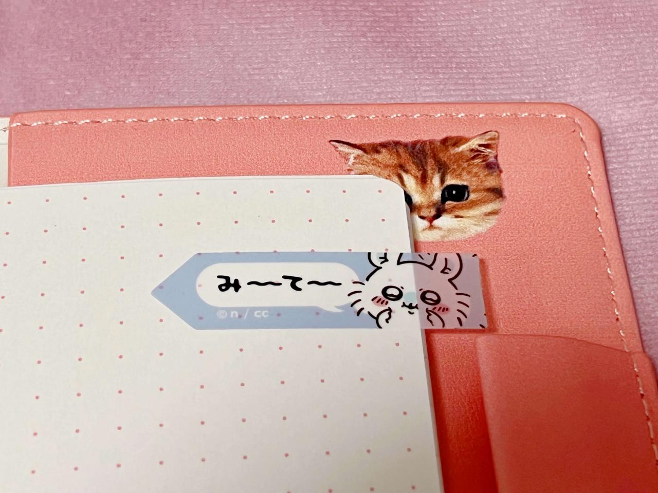 キャンドゥで買える!【ちいかわ】“ひと味違う”最新グッズおすすめ4選！（写真 8/21） - mimot.(ミモット)