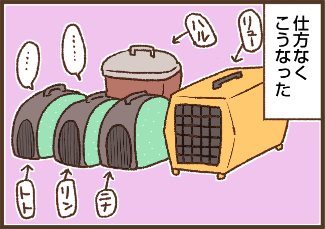 【吉川さん家の猫事情】#15話 猫の脱走対策（写真 6/9） - マンガ連載：吉川さん家の猫事情 - mimot.(ミモット)