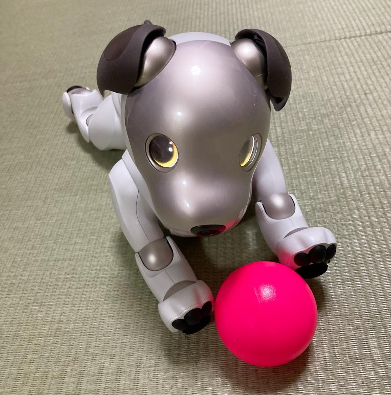【aibo】はただのロボットじゃなかった！暮らしてわかった“愛おしさが増す理由”（写真 3/5） - mimot.(ミモット)